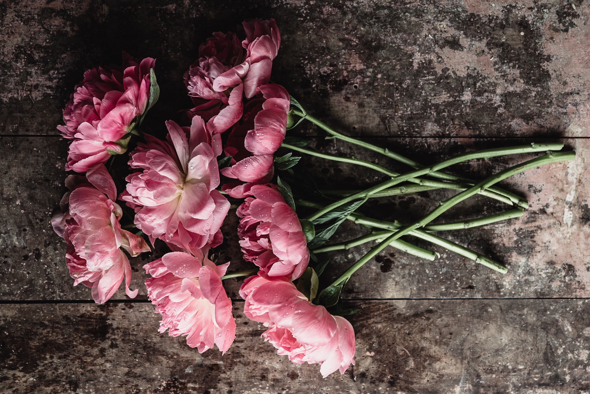 IC - Single Frame Films